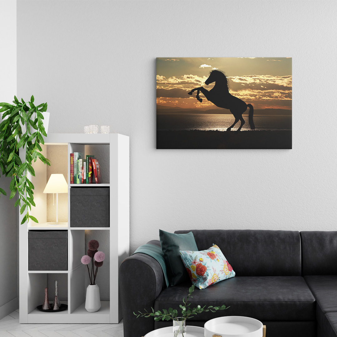 Konj i zalazak sunca | Lepi Nalepi